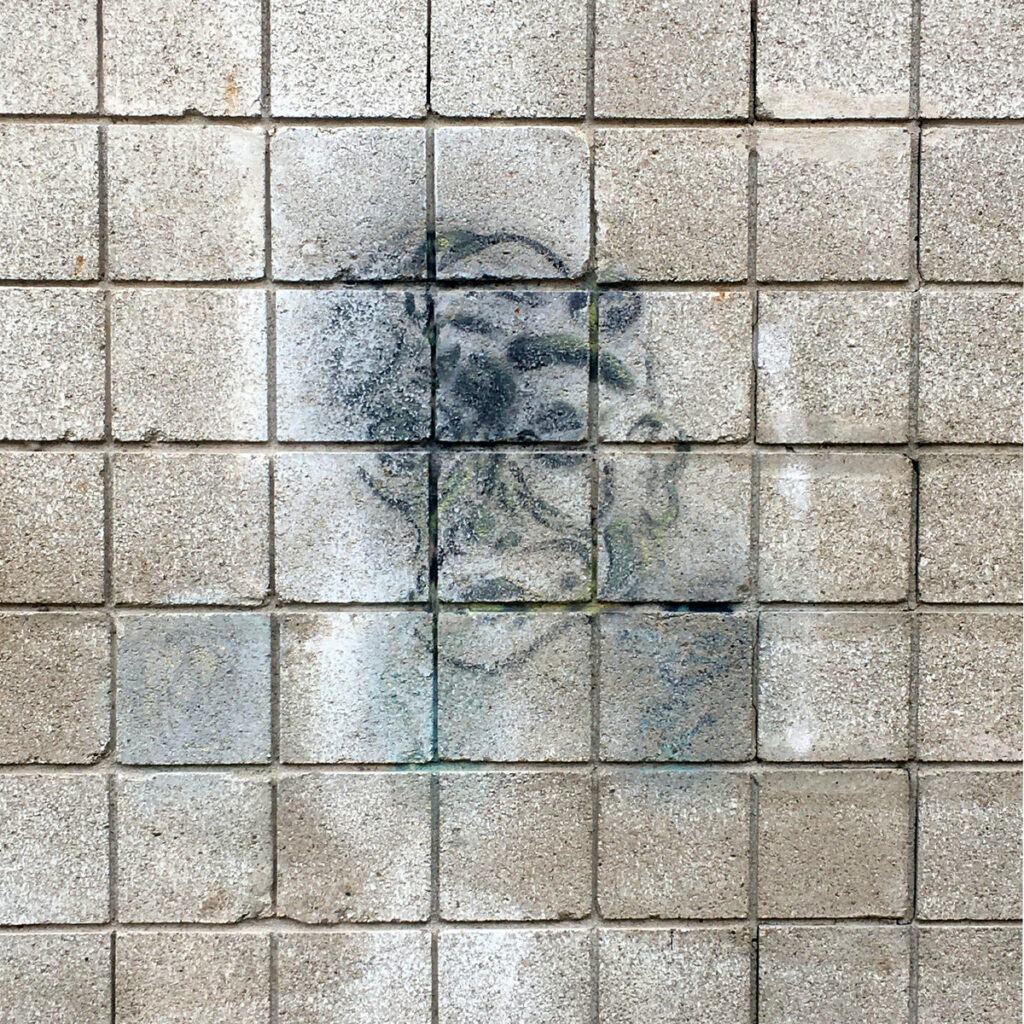 Observer: Restive Plaggona & Ortrotasce | I Die: You Die